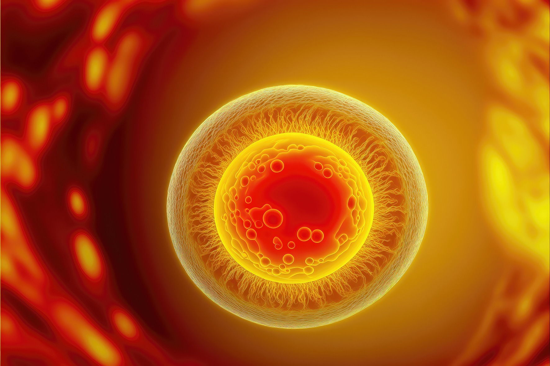 Home [focusonreproduction.eu]