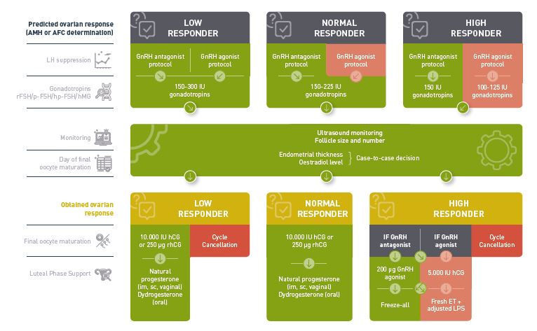 Ovarian Stimulation for IVF/ICSI